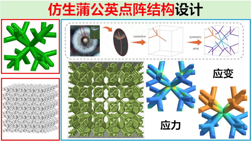 仿生蒲公英点阵结构设计,具有轻质高强和优异的吸能特性。