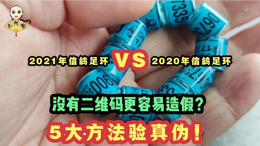 2021年信鸽足环防伪升级,5大方法验证真伪!