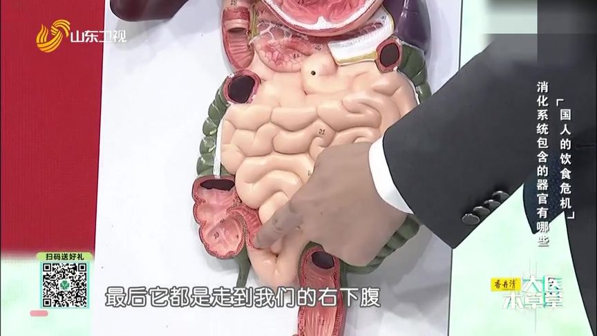 大医本草堂:消化系统包含哪些器官?长期这样饮食,癌细胞会找你