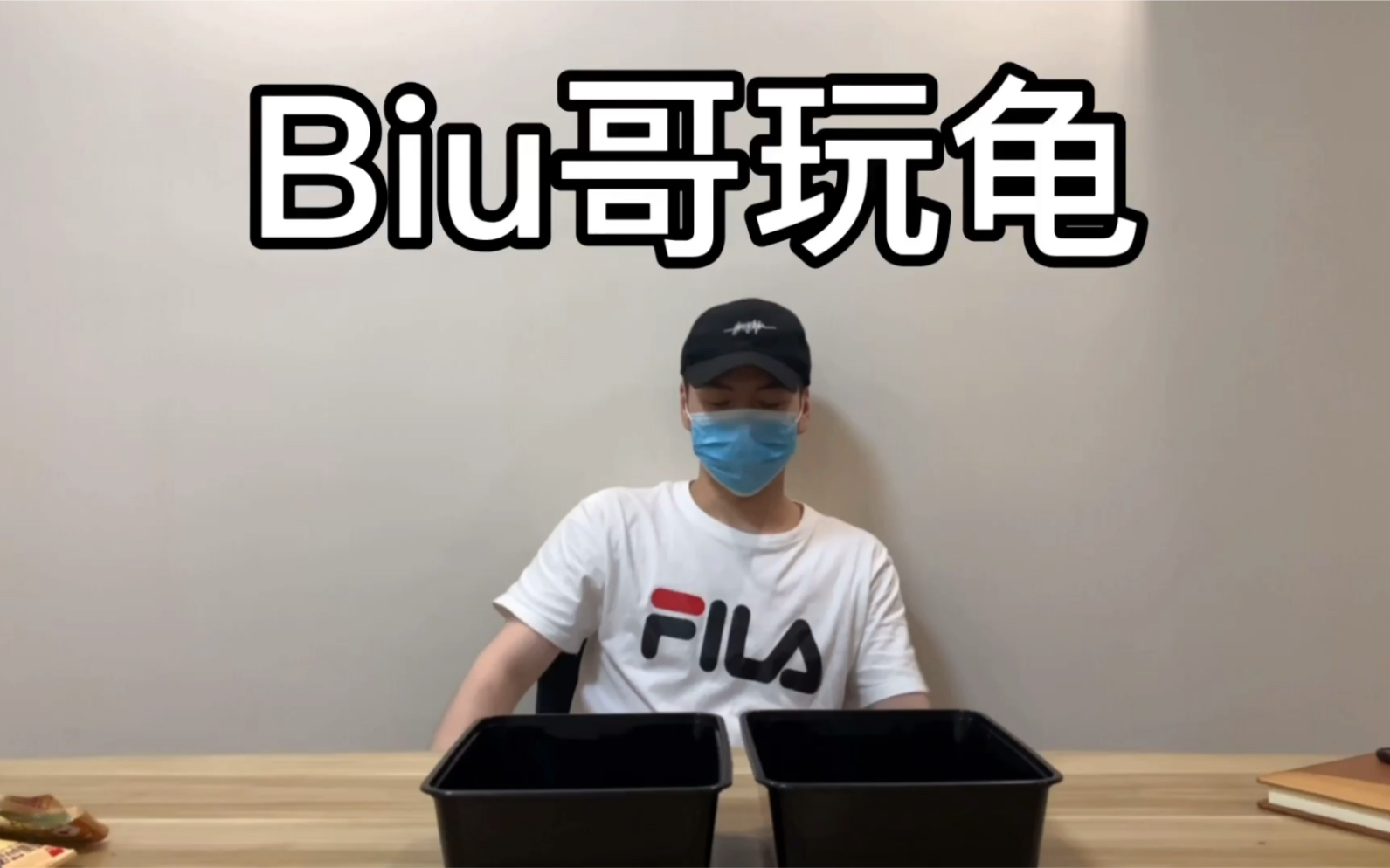 一分钟 了解 纯佛鳄龟与杂佛鳄龟的区别