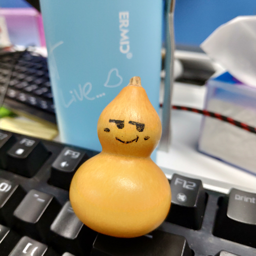 身披戎装不爱战场 