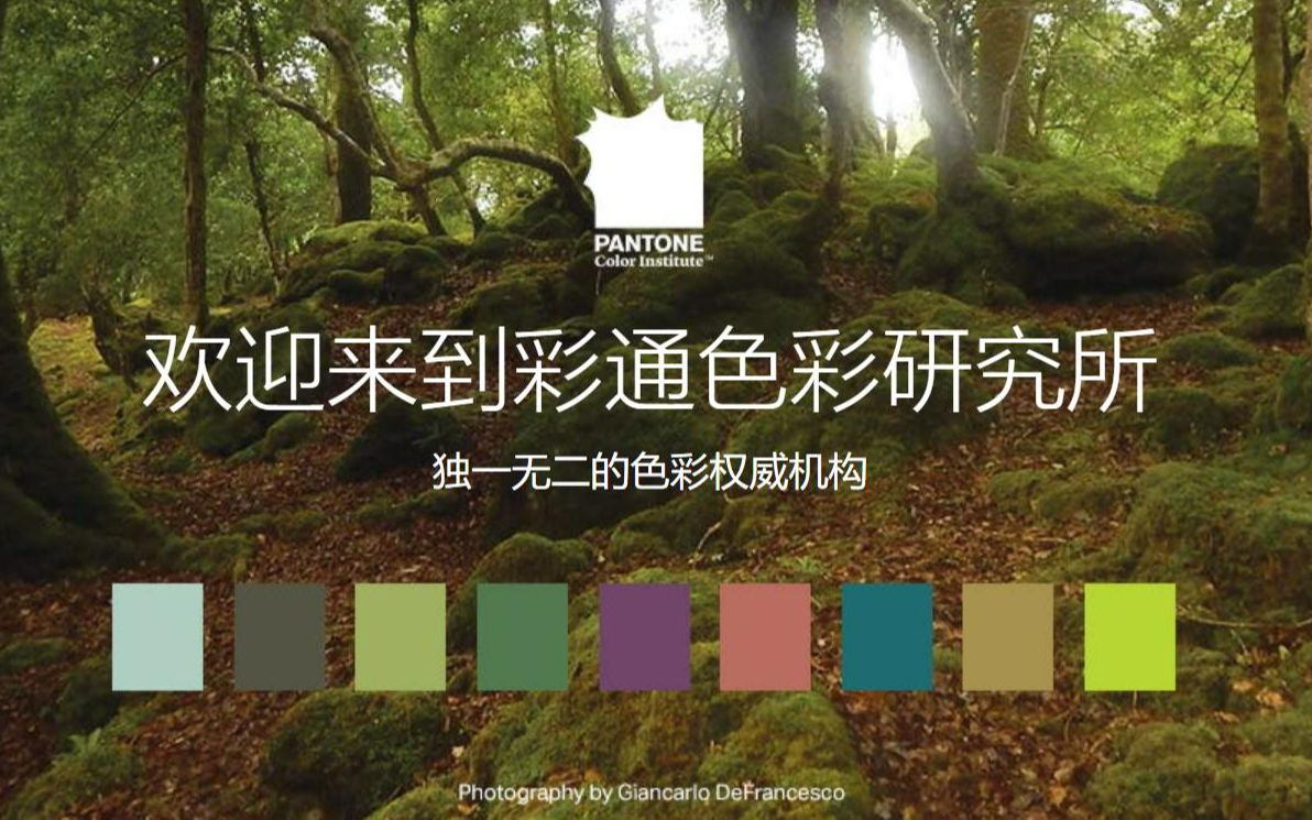 Pantone 彩通色彩研究所究竟是一个什么样的组织?