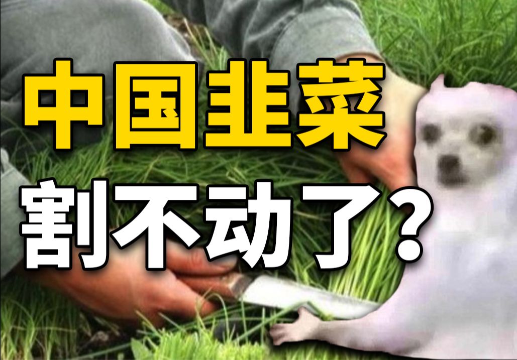 大溃败!垄断10年的欧美大牌,为何跌落神坛?