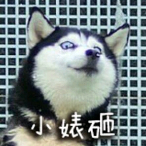 眺望一空城 