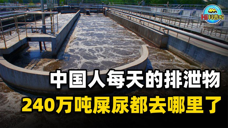 中国人每天产生约240万吨屎尿,都排放到哪里去了,该如何处理?