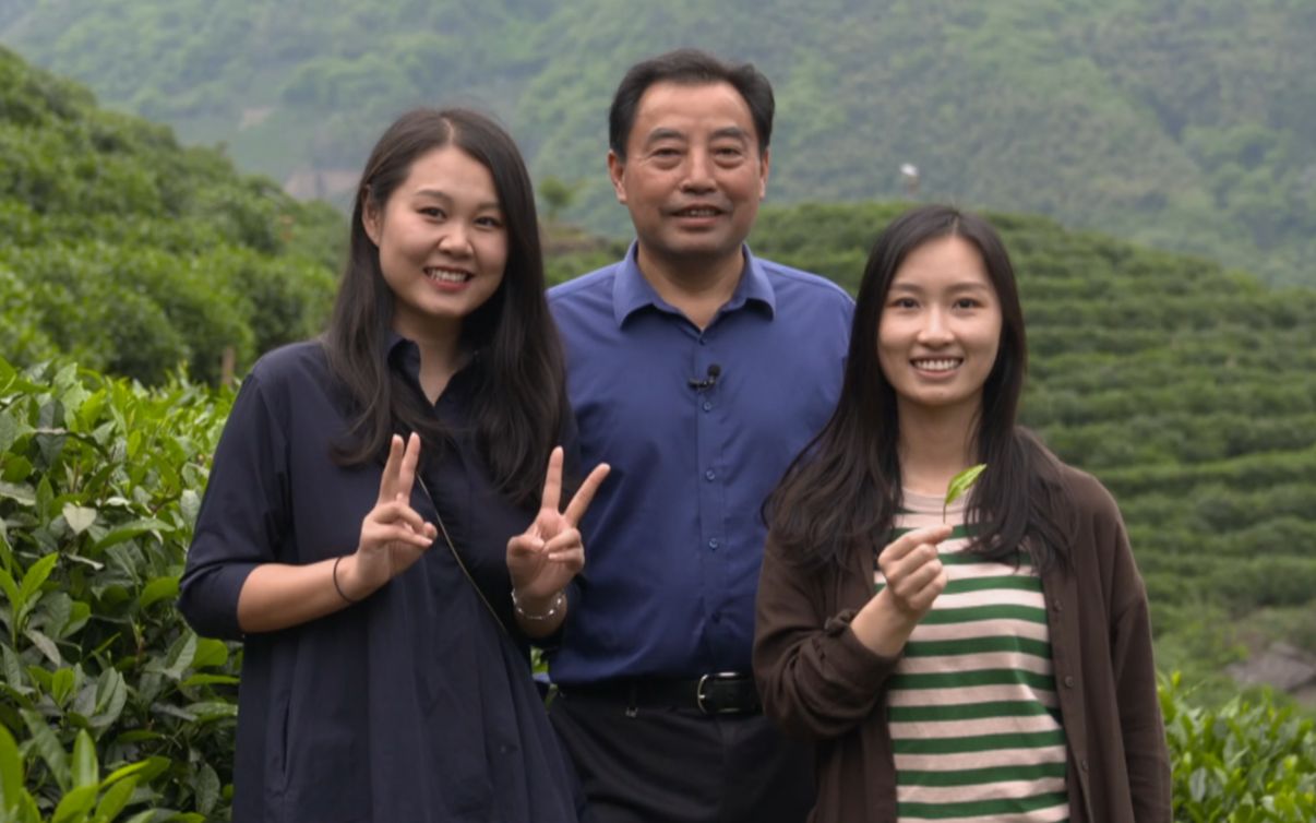 【老艺新生】湖南工业大学VS太平猴魁的未来