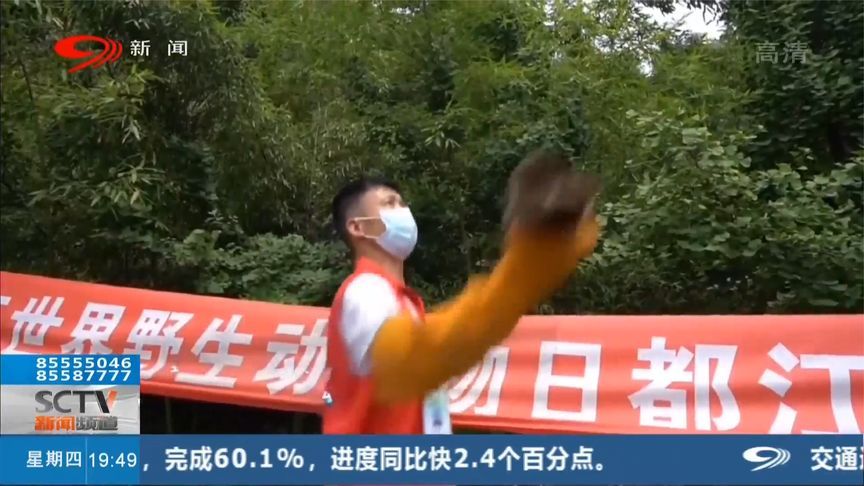 保护野生动物宣传月,吹响"爱"的号角