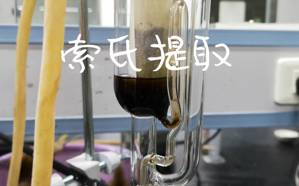 【天青夏妖】针状晶体茶叶提,这点产率真着急,索氏提取咖啡因