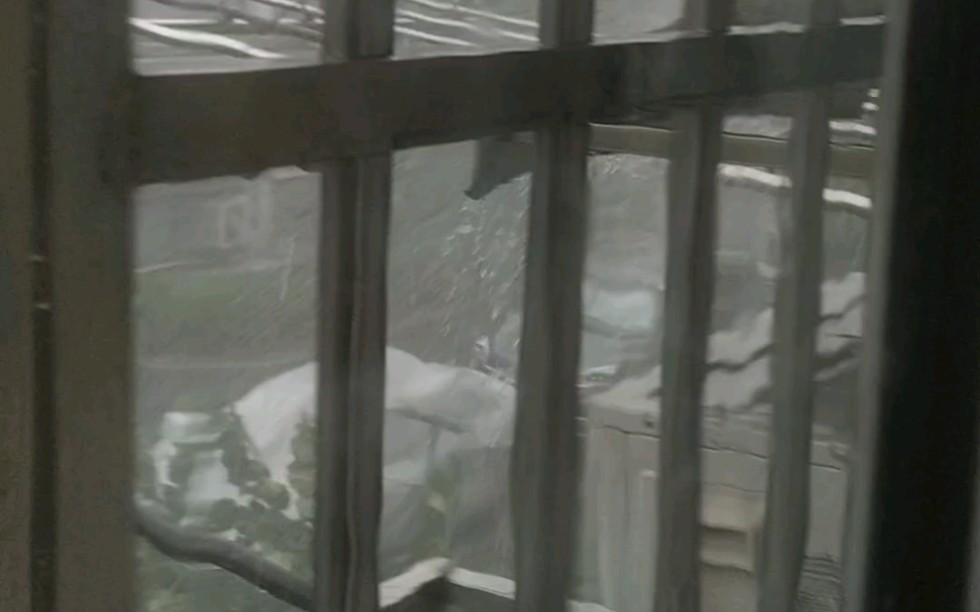 上海又下暴雨了,还有闪电鞭