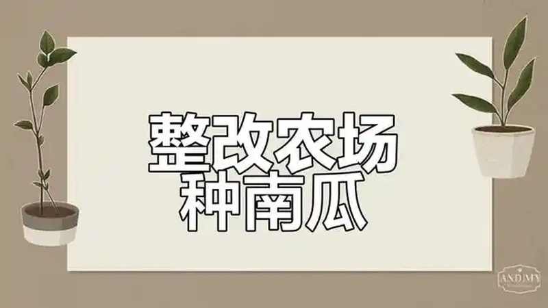 我的世界1.17单人:南瓜种植与农田整理