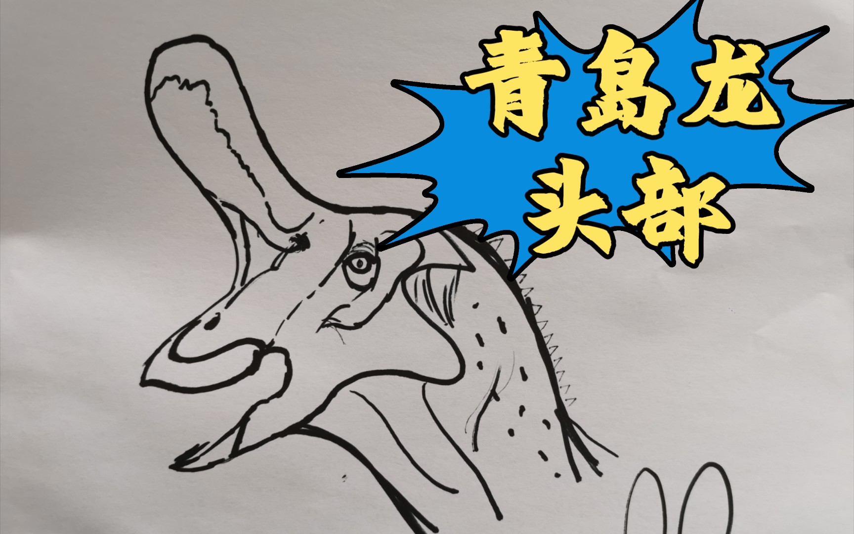 恐龙简笔画之青岛龙头部
