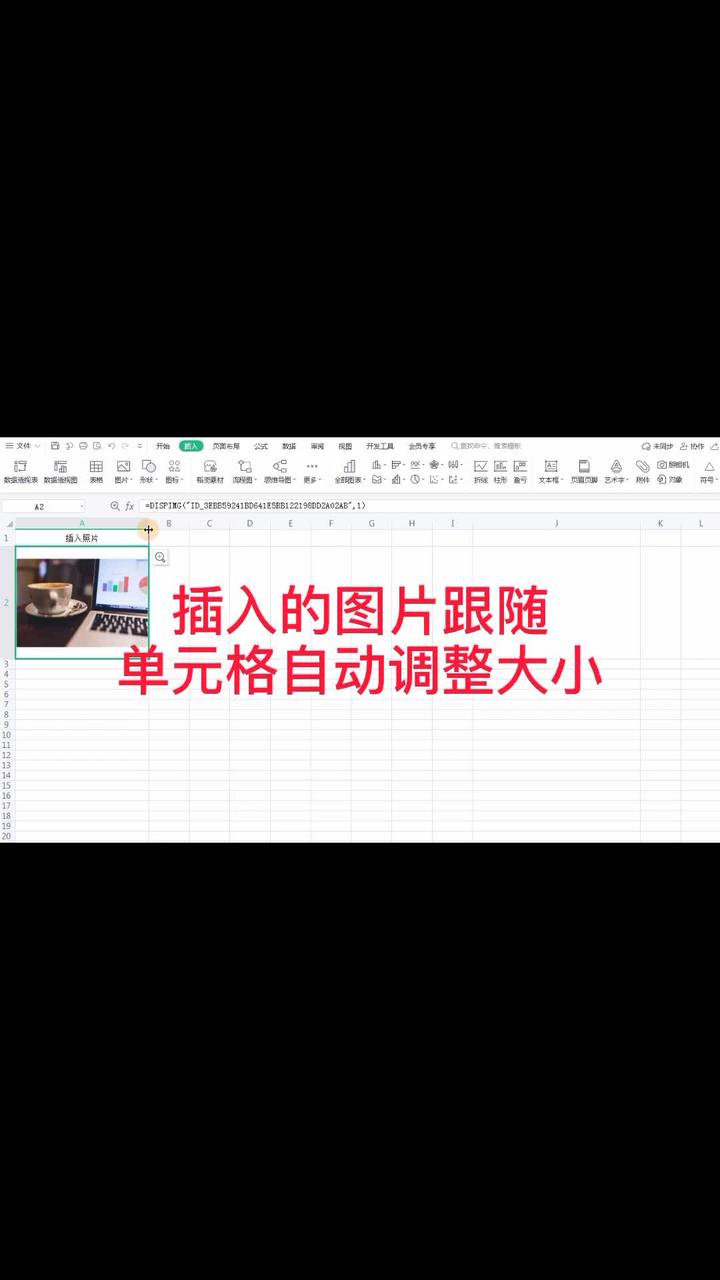#wps #wps表格 插入的图片跟随单元格自动调整大小。@抖音短视频
