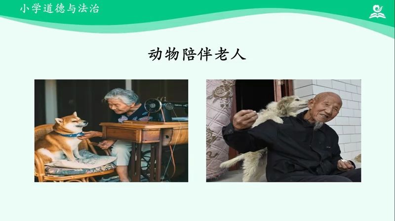 (4.16道德与法治)《可爱的动物》