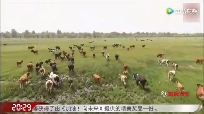 北斗应用到生活中的便利之处!