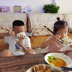麦壳陈 