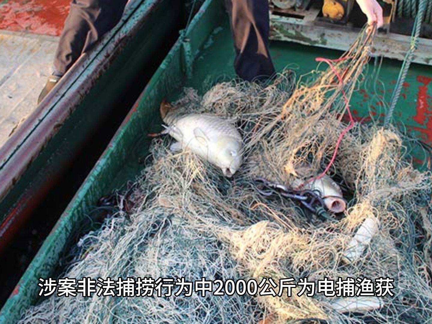 ...213号:黄某辉、陈某等8人非法捕捞水产品刑事附带民事公益诉讼案