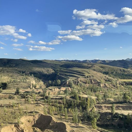 半路出家数学烟酒僧 