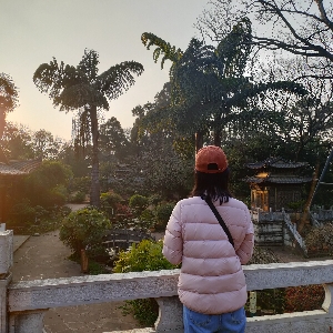潇笙哩哩哩 