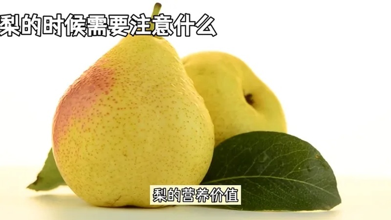 吃梨的时候需要注意什么