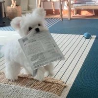 归于殊途 