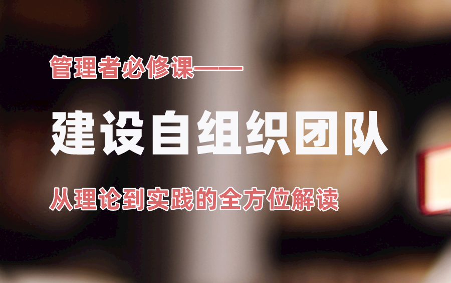 怎样建设一个自组织团队?