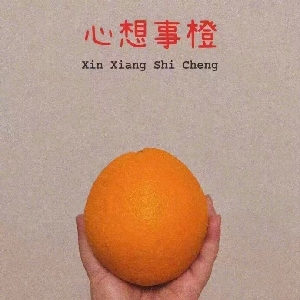 会飞的小海哥 
