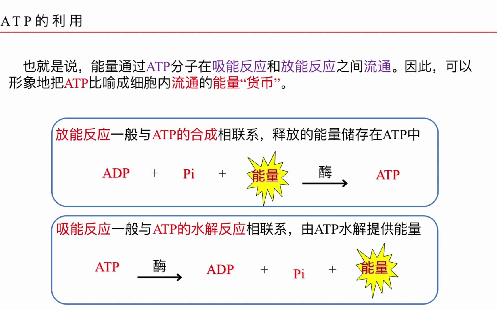 5.2细胞的能量“货币”-ATP教学设计思路及PPT设计