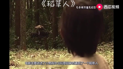 男孩在路边发现一个稻草人,还跟着他回家,一部恐怖悬疑电影!