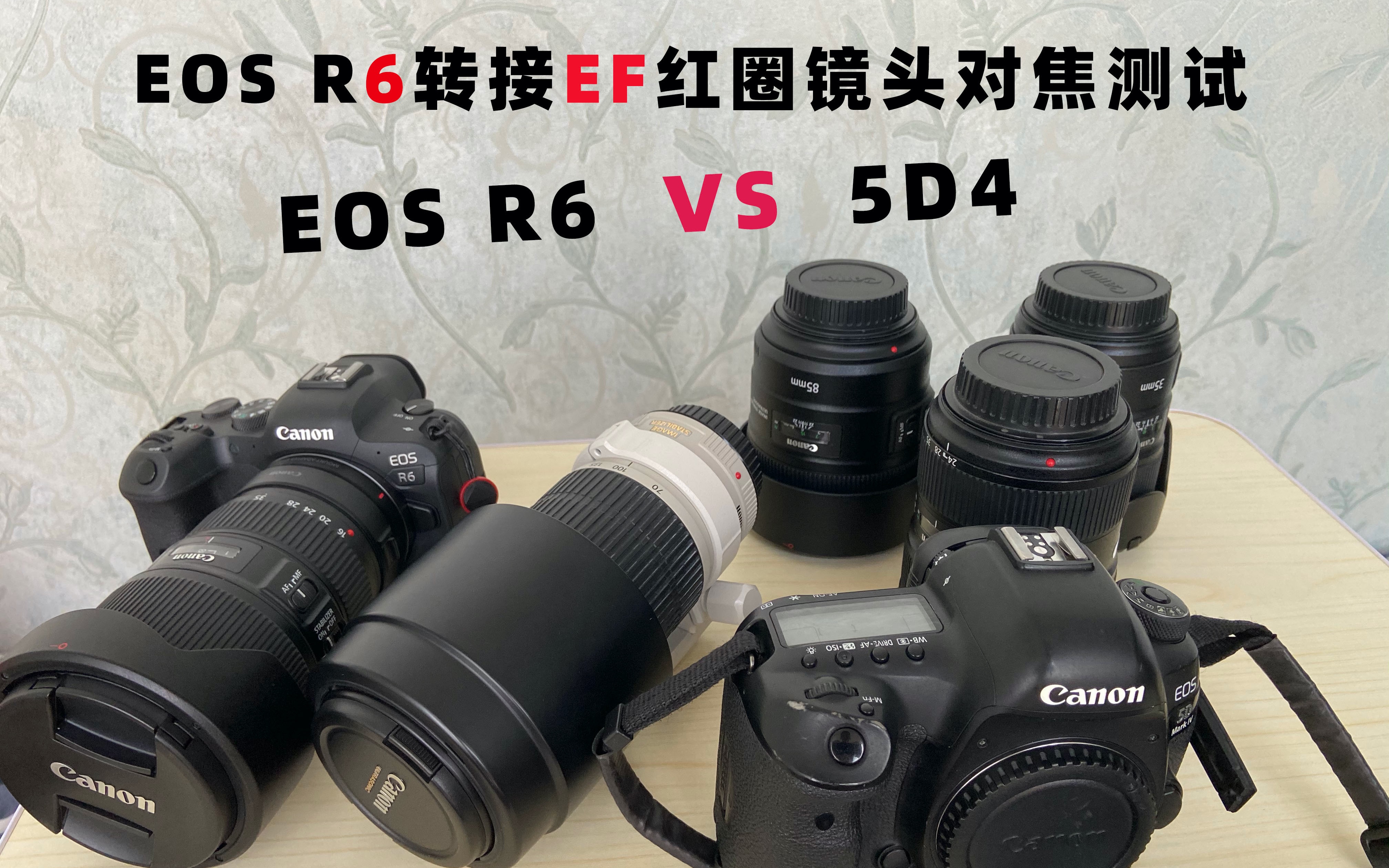 【居士】R6转接EF镜头对焦测试,EOS R6 VS 5D4