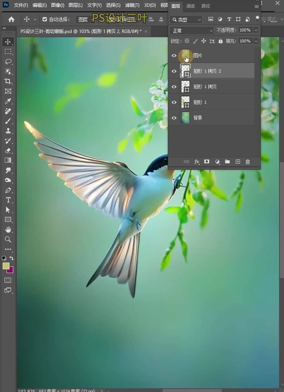 PS教程教你剪切蒙版