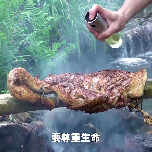 祈愿之歌者 