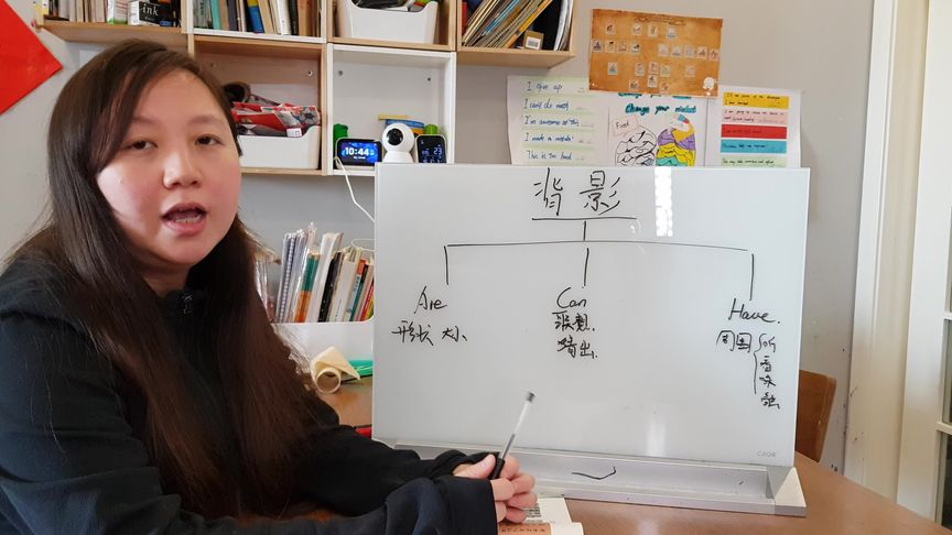 部编人教版小学语文五年级下册作文指南-第三单元习作:调查研究
