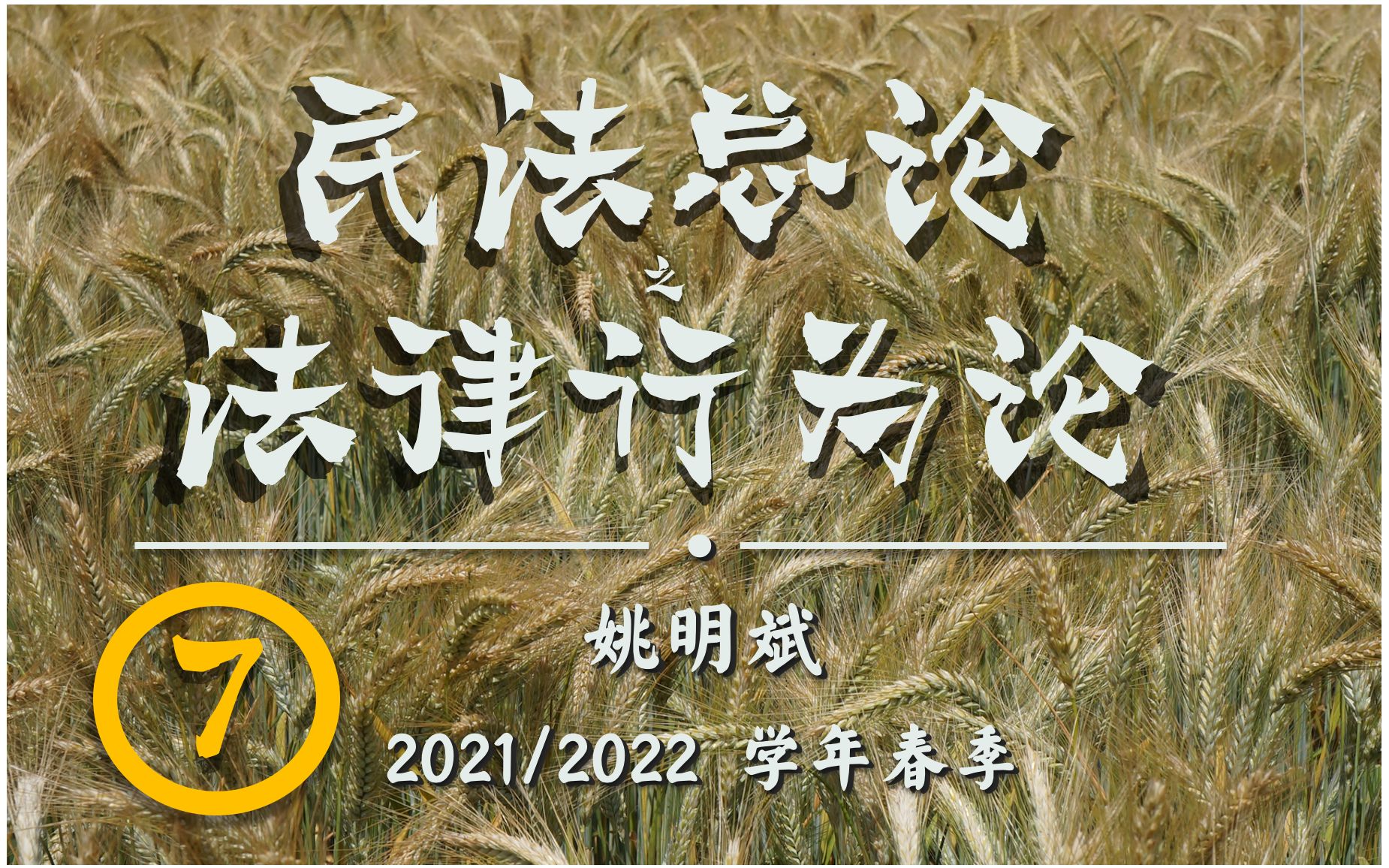 【民法总论·法律行为论】第7弹:意思表示的解释