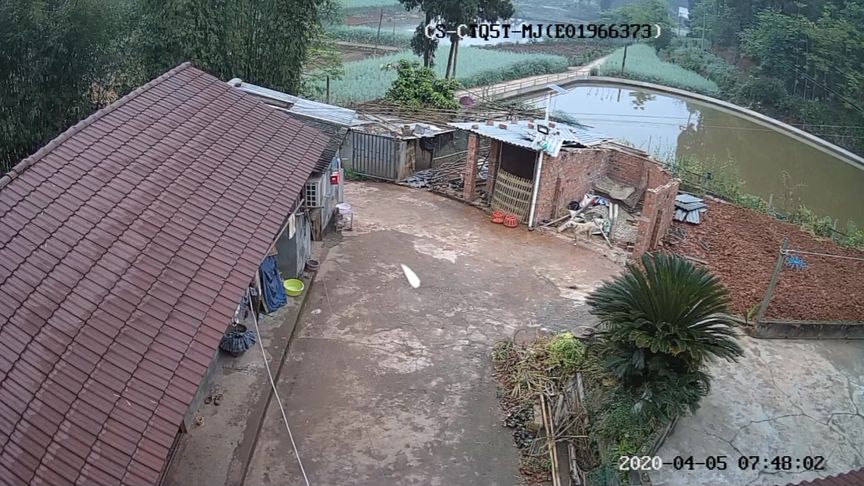 #4号晚没拆完派出所来带我们去做了笔录,5号早上我上班去了