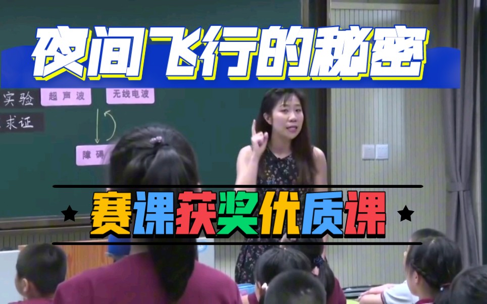 《夜间飞行的秘密有(蝙蝠和雷达)》公开课