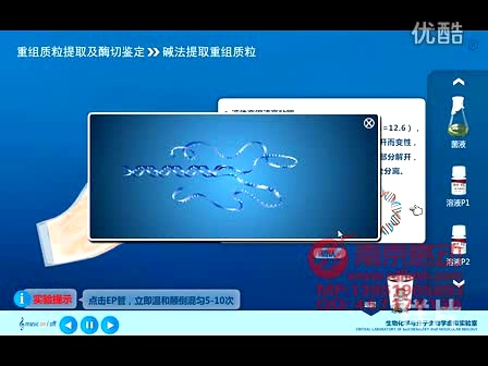 武汉仿真教学 多媒体课件 信息化数字教学 科研实验动画