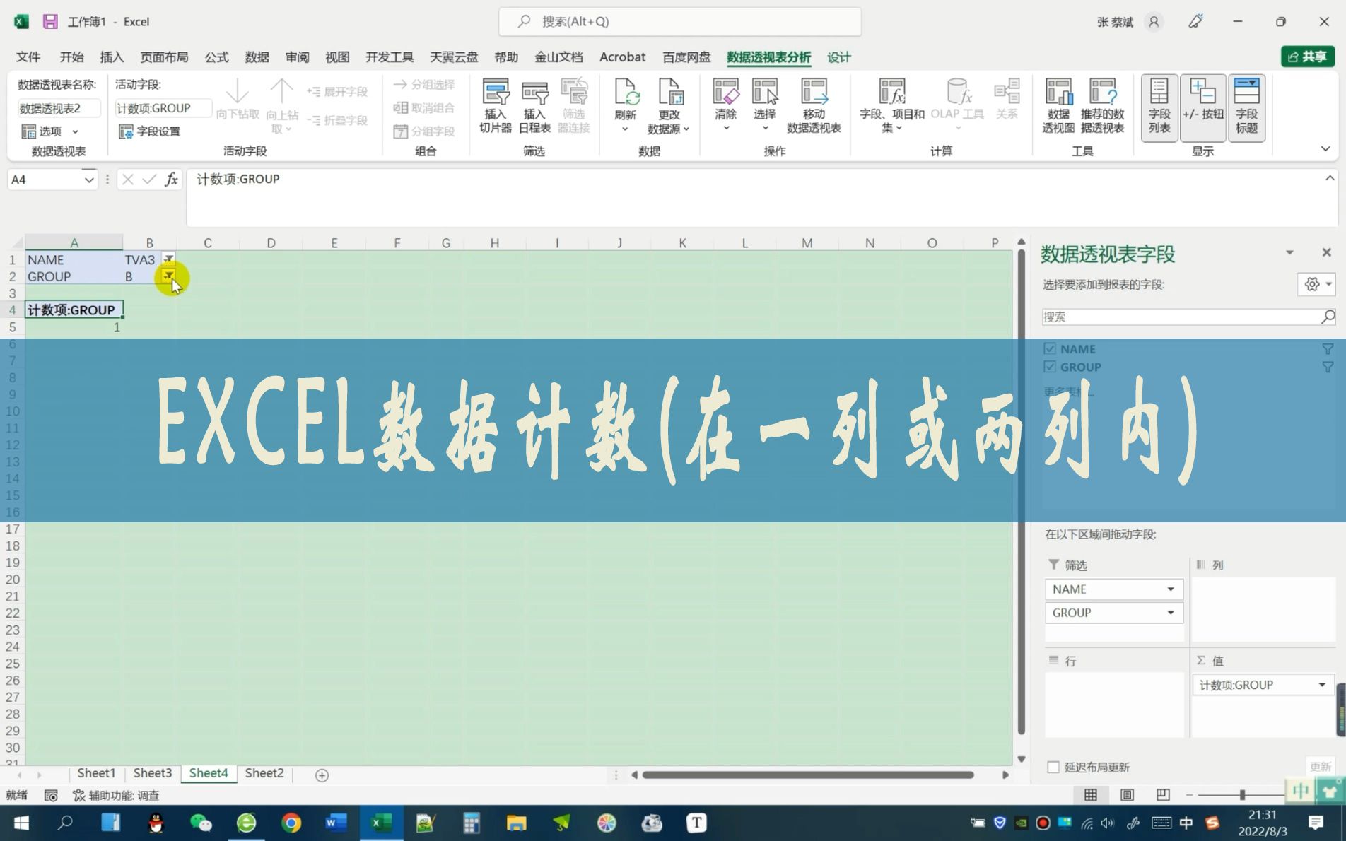 EXCEL数据计数(在一列或两列内)