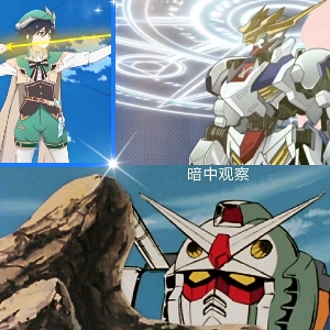 想要养条狸花猫 