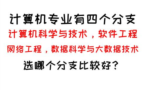 计算机专业有四个分支,准大一新生选哪个分支比较好?
