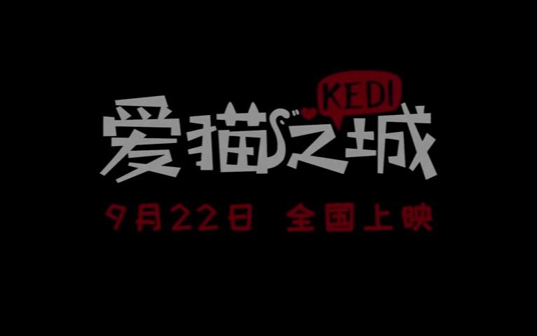 《爱猫之城》一部属于喵星人的纪录片