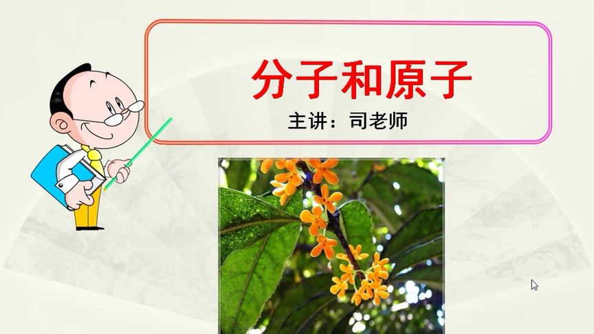 初中化学分子和原子