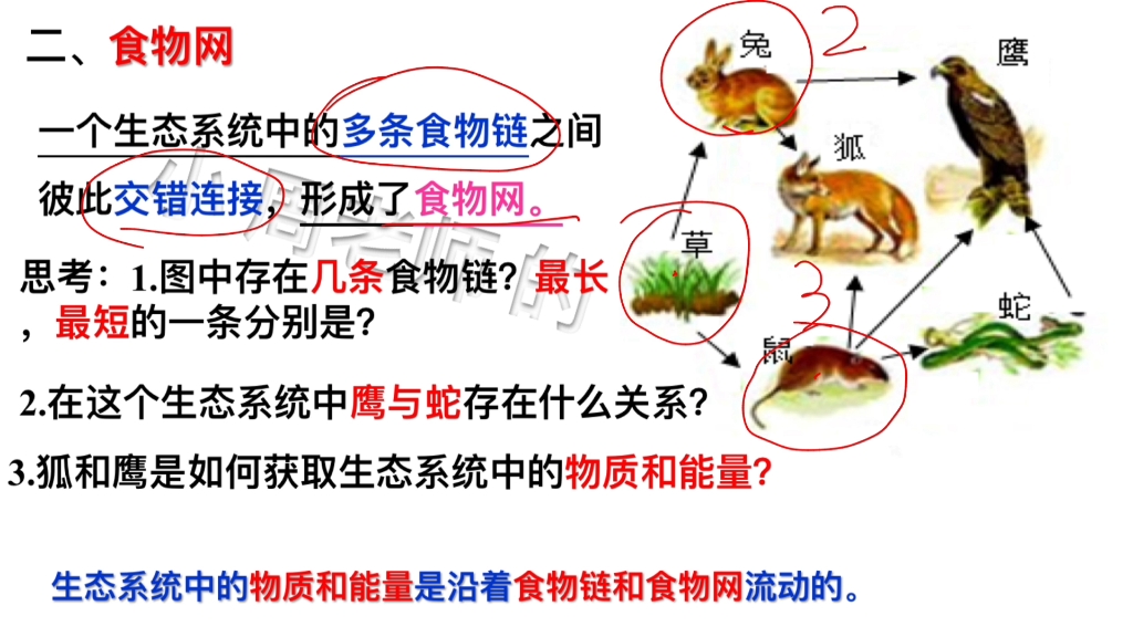 生物与环境组成生态系统重难点四:多条食物链之间交错连接,形成食物...