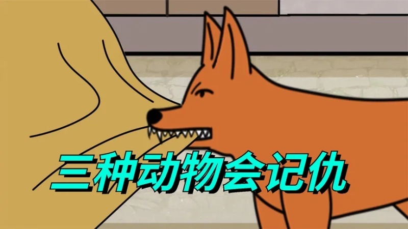 家里老人常说,有三种动物会记仇,是吓唬人的吗