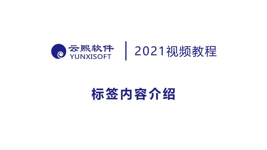 云熙软件设计拆单教程合集: 1-4-15【标签内容介绍】