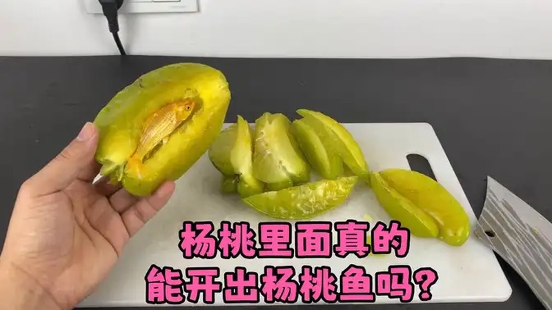 网传,杨桃里面能开出杨桃鱼,长得很像杨桃,这是真吗