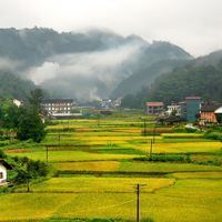 地主老鹰的乡村笔记