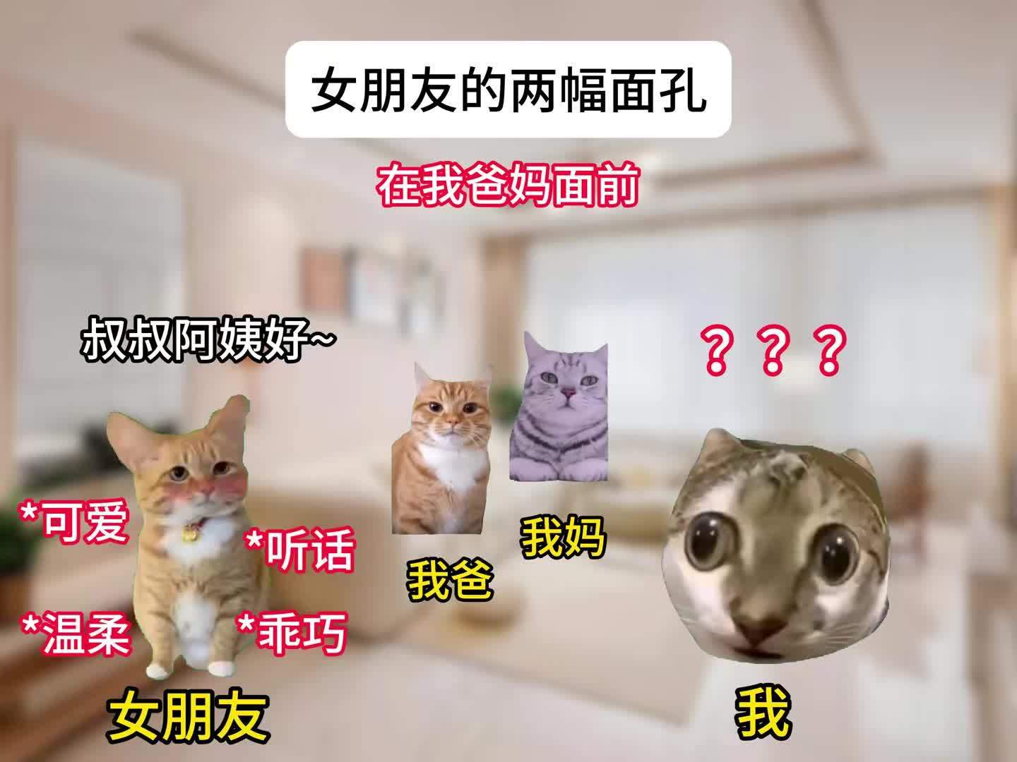 女朋友的两幅面孔