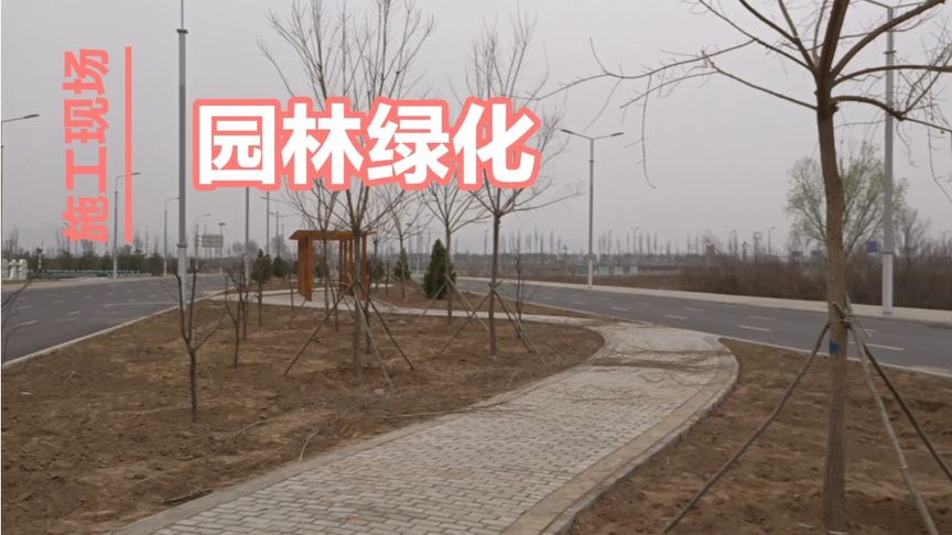 园林绿化种植树施工现场