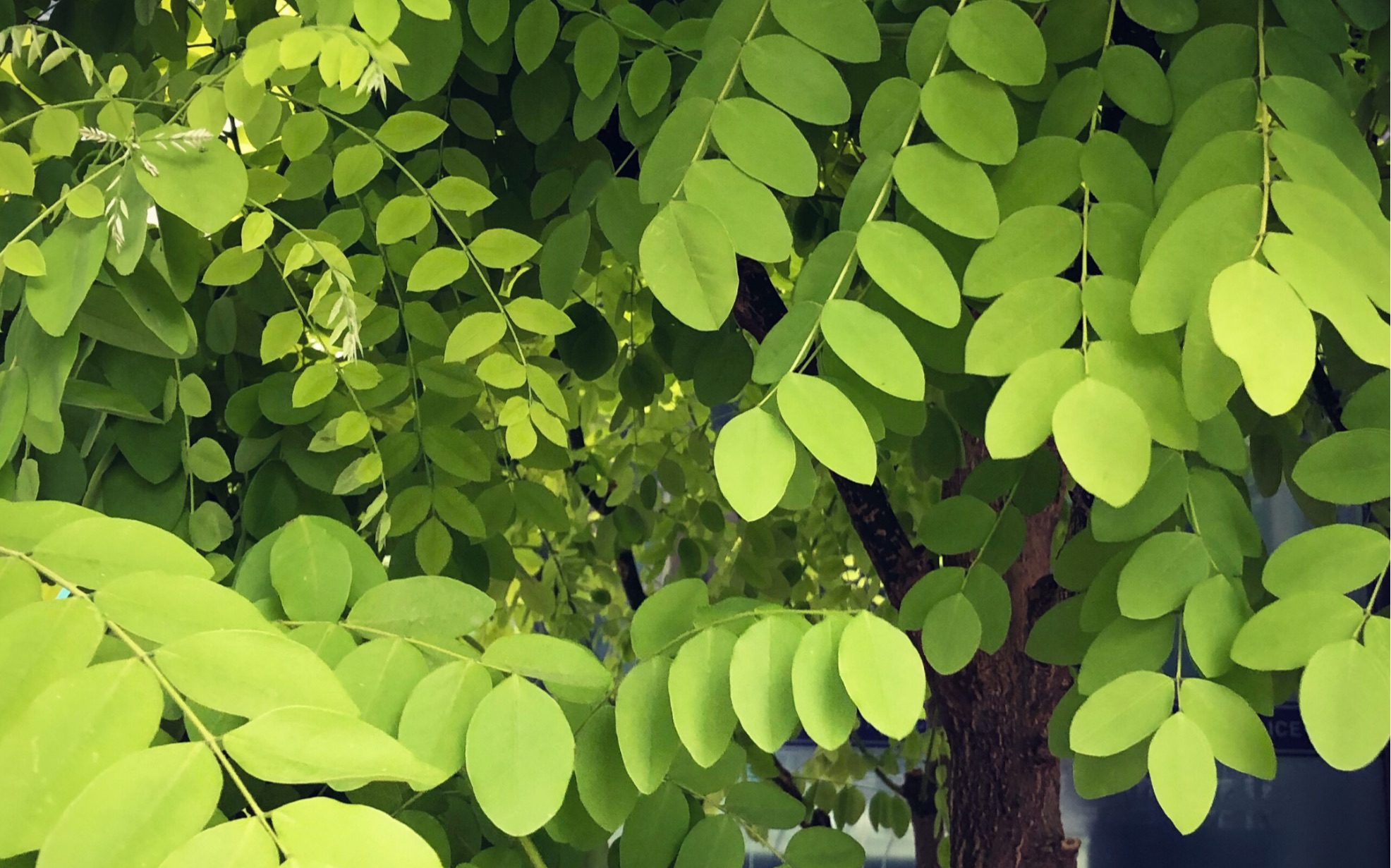 [测试]iPhone camera/ZYPlay 1080p/4K 压缩 1080p