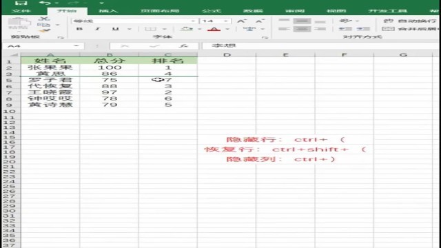 .b>隐藏excel中隐私的数据,不被别人.